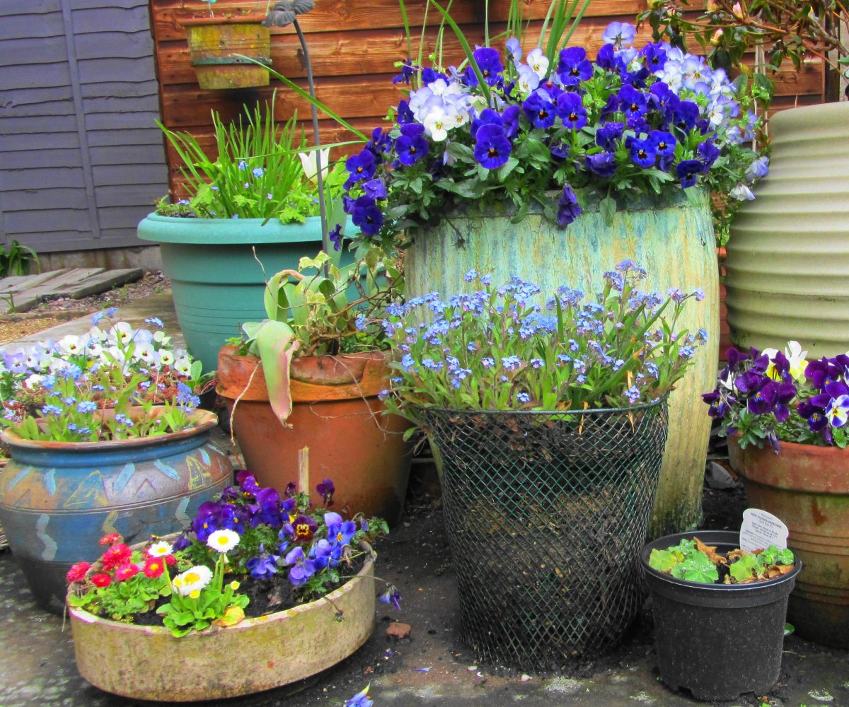 Containing your excitement: Container garden tips - Wetlawn Automatic ...